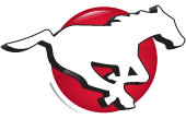 Calgary Stampeders Virtual Venue™ by IOMEDIA